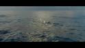 Life of Pi: Flying Fish Scene - American Profile